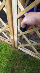 Screening my Greenhouse with Garden Trellis | Grow Like Grandad